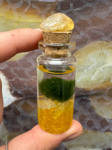 Marimo Moss Ball - Citrine – Witch's Way Craft - Thirteen Circles