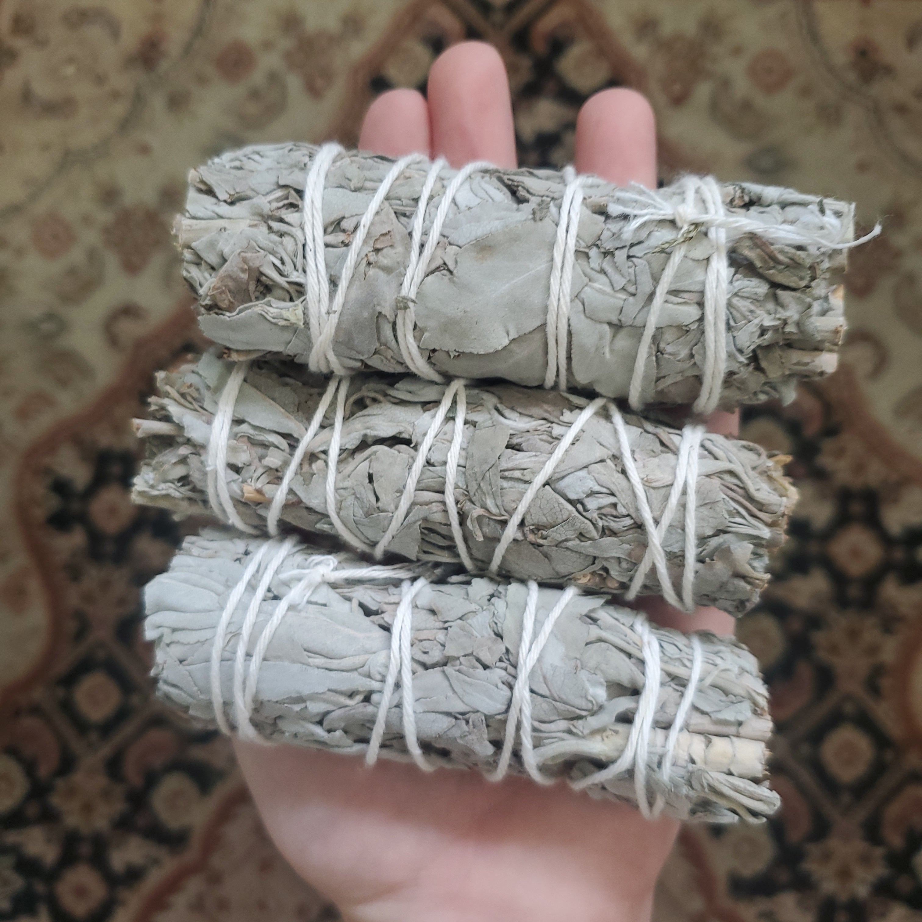 White Sage Bundles 4 inch - California White Sage from Farm – Witch's Way Craft - Thirteen Circles