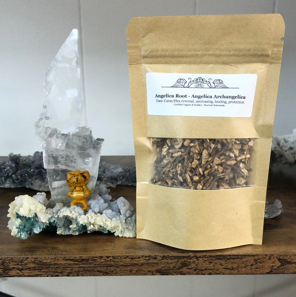 Angelica Root - Angelica Archangelica – Witch's Way Craft - Thirteen ...