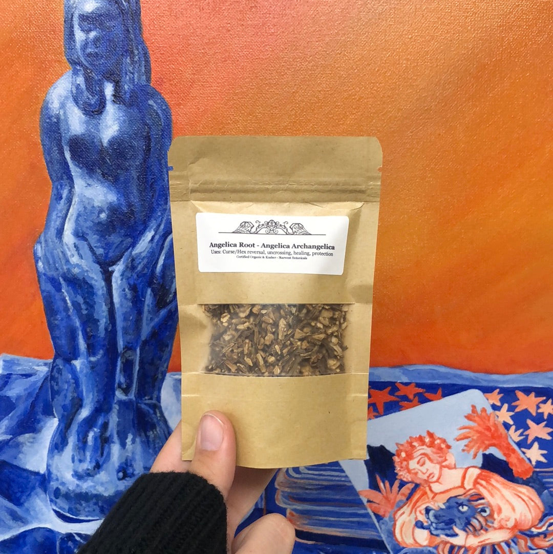 Angelica Root - Angelica Archangelica – Witch's Way Craft